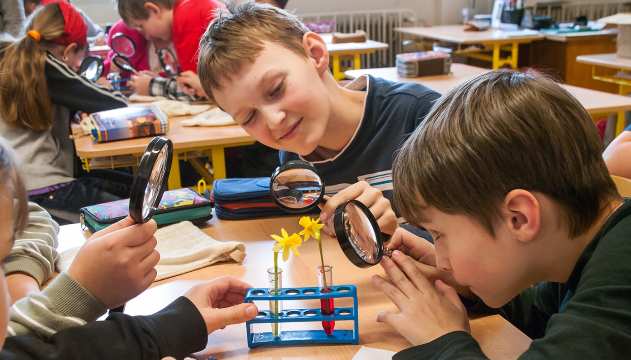 Pequeños investigadores conectados: el programa GLOBE